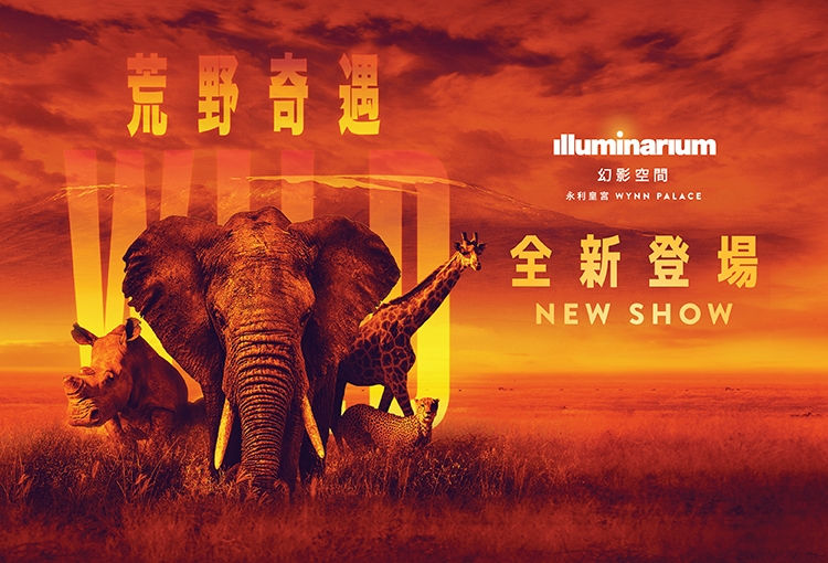 Wynn Rewards | Official Site of Wynn Resorts Macau